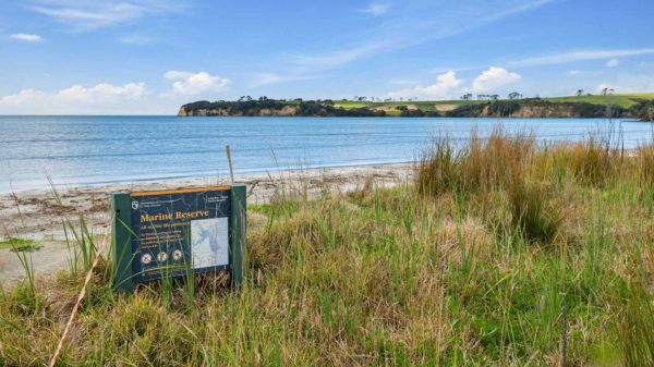 Weiti Bay – Templeton Group – Nigel Mckenna - Weiti Bay