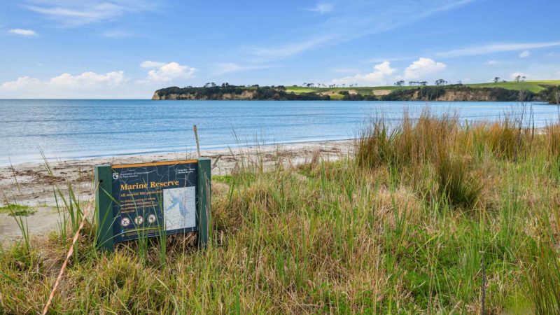 Weiti Bay – Templeton Group – Nigel Mckenna - Weiti Bay